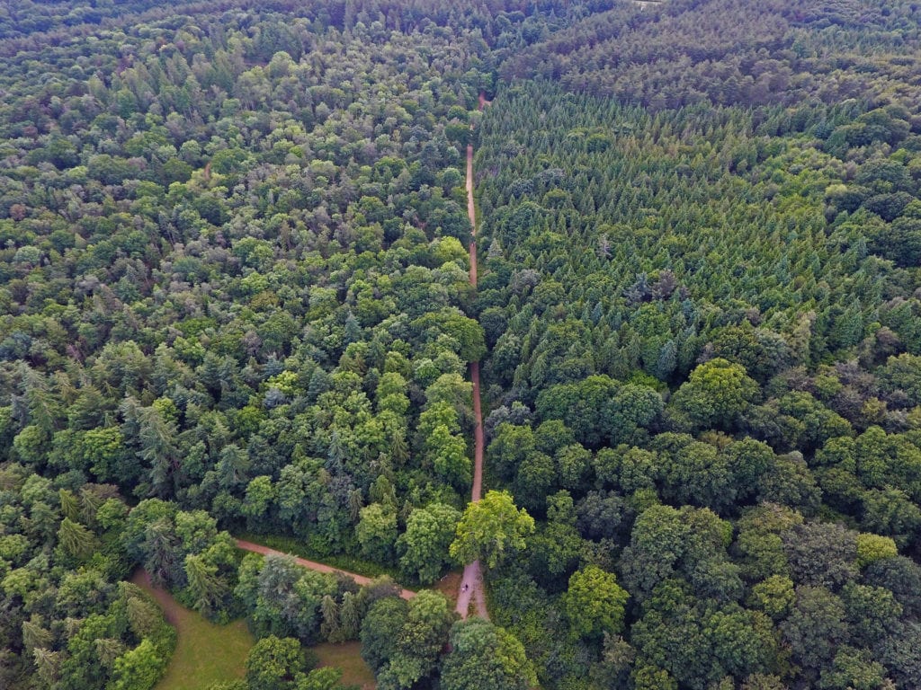 Firestone Copse as you've never seen it before (video and photo gallery)