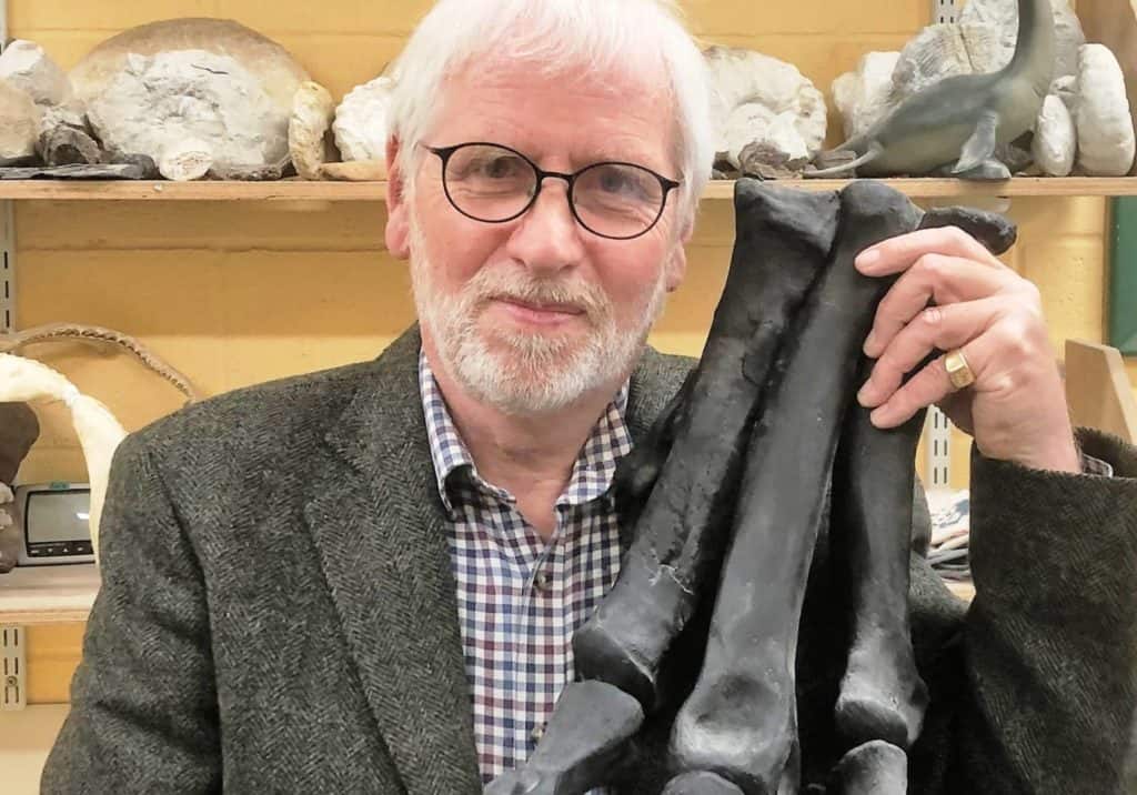 Dinosaur Isle Consortium tell News OnTheWight they are 'pleased with ...