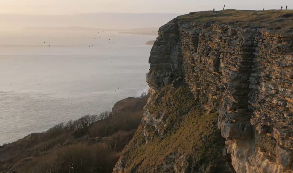Watch: The Ghost Trees of Gore Cliff - Haunting beauty of the Niton and ...