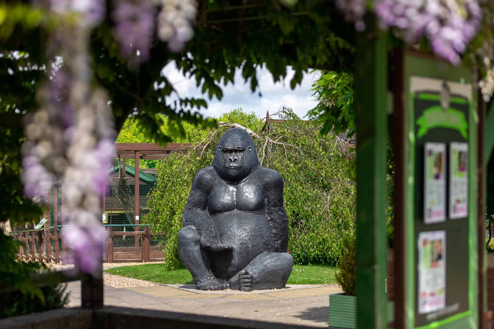 Monkey Haven offer Quiet Hour for a tranquil and happy experience