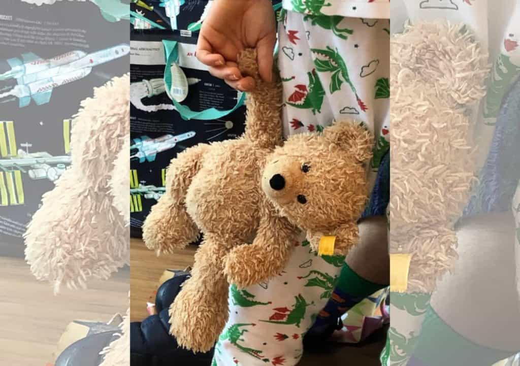 Letter: £100 reward for eight-year-old's lost teddy bear