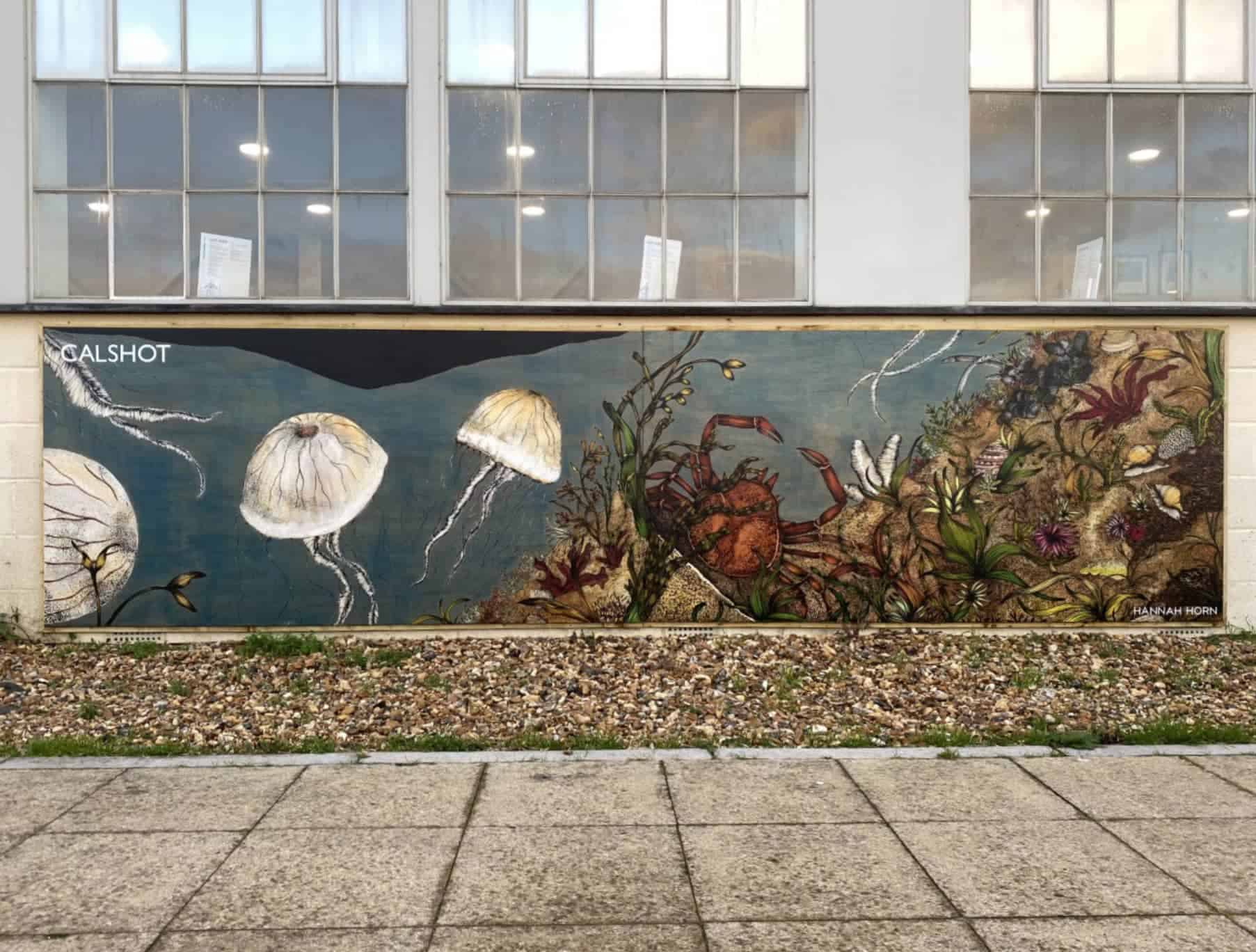 Solent’s extraordinary marine life celebrated with six murals at ...