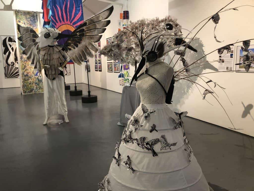 Collaborative creativity on display at the Island's Creative Biosphere ...