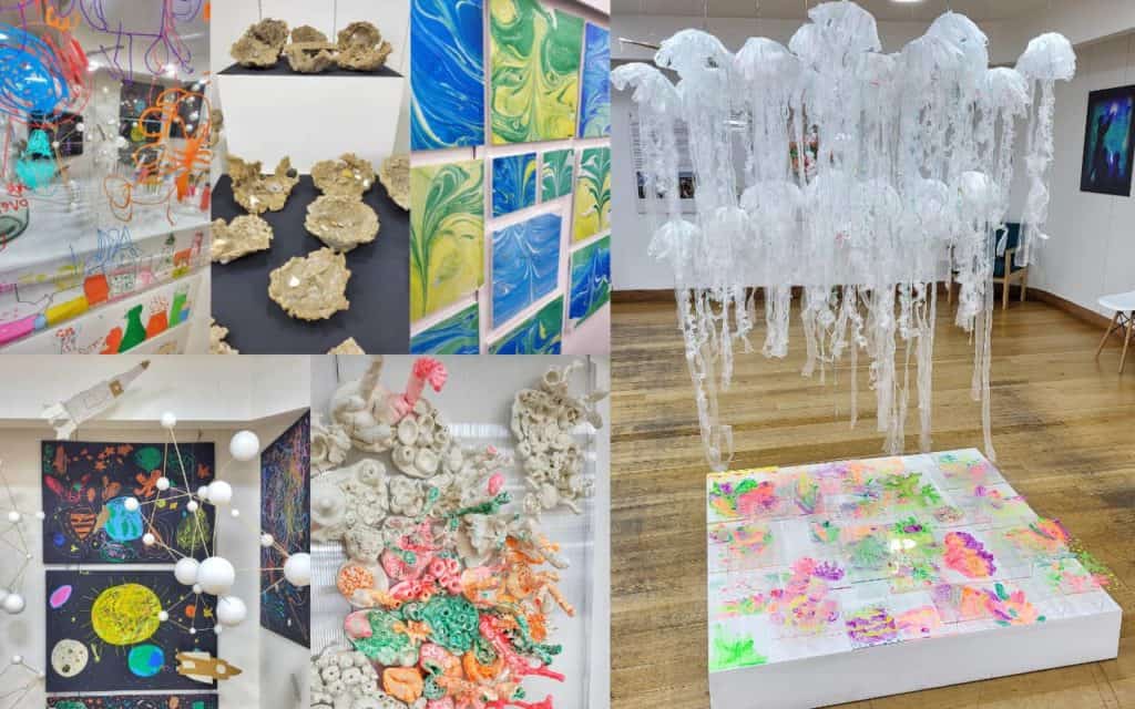 Engaging with science through art: Children celebrate Island's ...