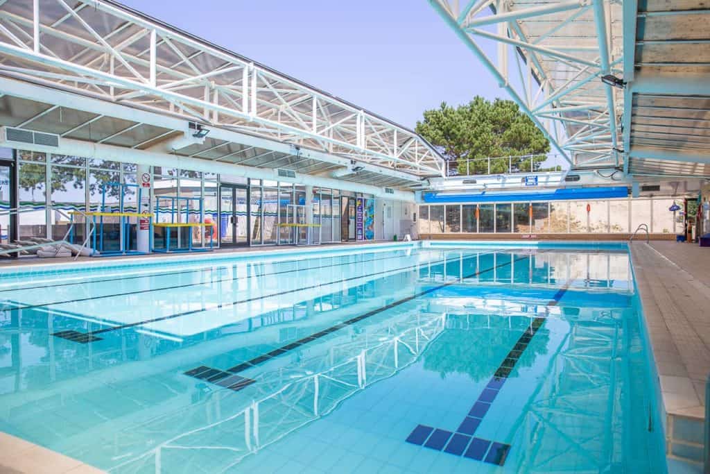 Watch: The Ghost Trees of Gore Cliff - Haunting beauty of the Niton and ...
