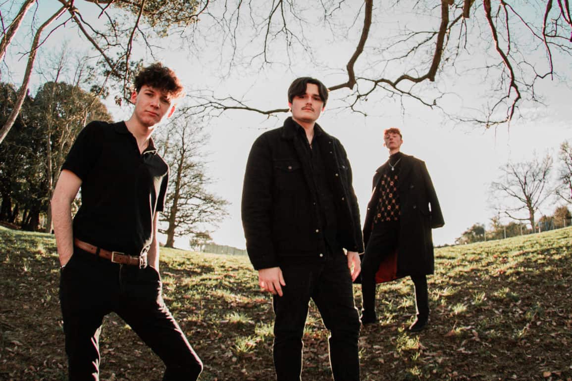 Watch: The Ghost Trees of Gore Cliff - Haunting beauty of the Niton and ...