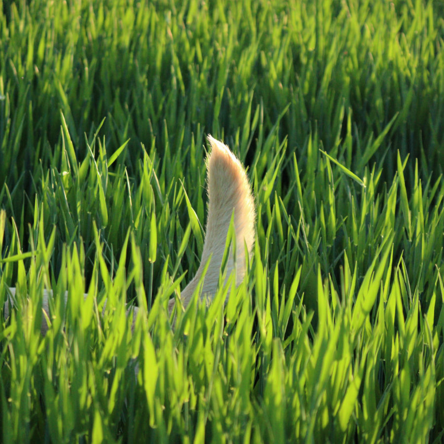 GCSE Results: Students praised and commended for hard work during ...