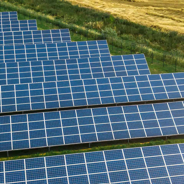 Same-day tip bookings at Lynnbottom and Afton Marsh