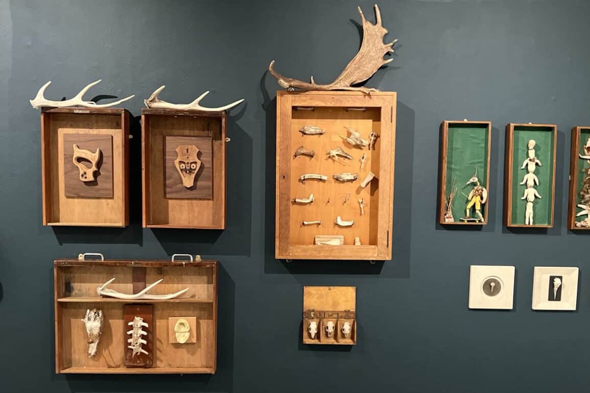 Wightlink releases 2025 ferry timetable with early booking perks