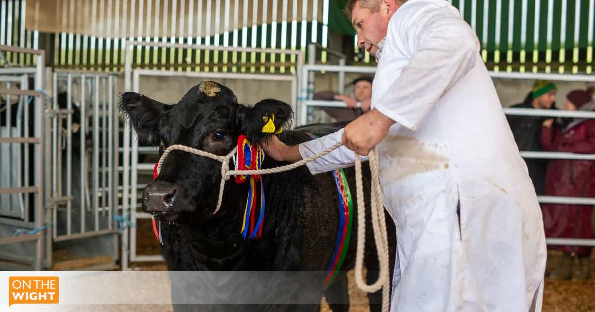 Isle of Wight tradition: Gilten Market's festive celebration of agriculture