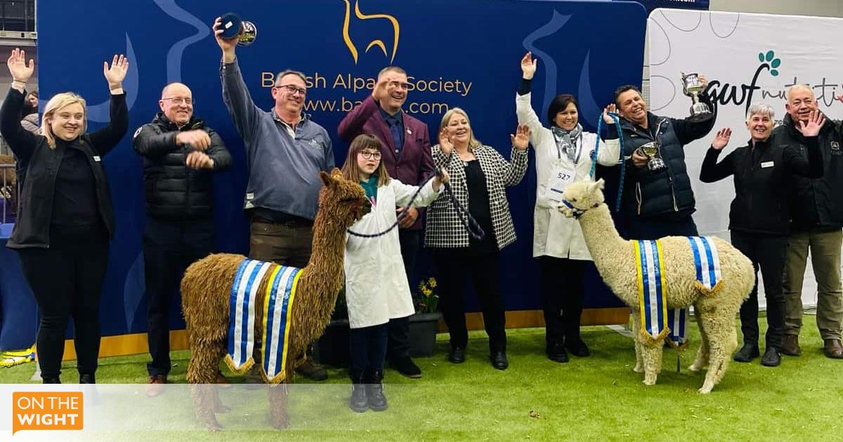 Historic victory for brown alpaca at British Alpaca Society National Show