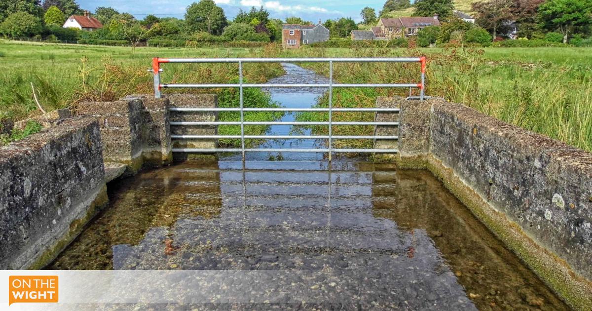 Hampshire and Isle of Wight Wildlife Trust urges stronger protections ...