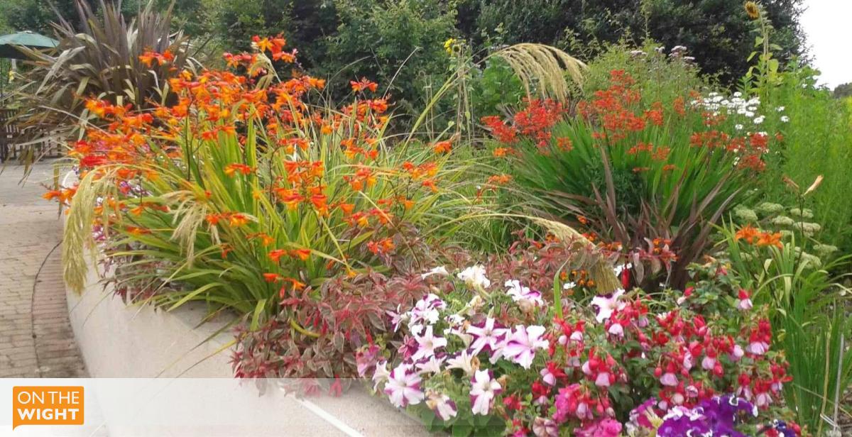 Visit Mountbatten's award-winning Chelsea Garden, now part of Open ...