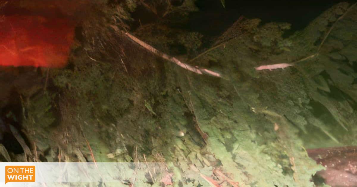 Isle of Wight road closures due to flooding and fallen trees