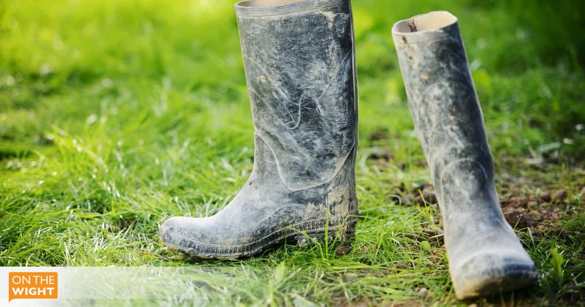 Welly wanging and tomato tossing: New summer event to hit the Isle of Wight