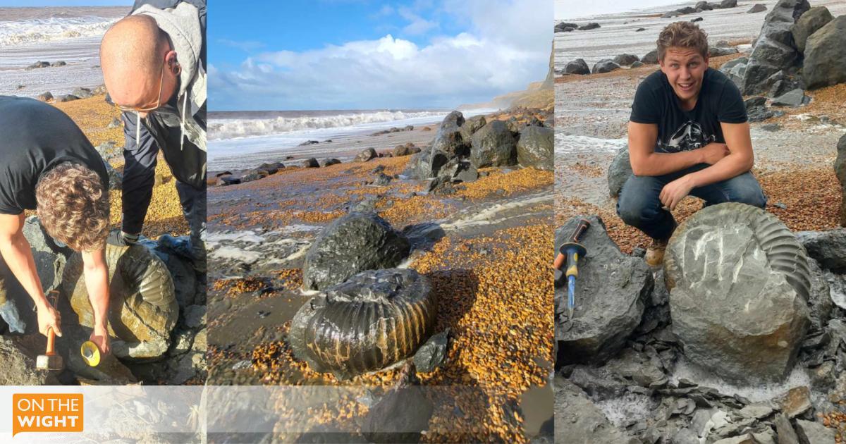 Isle of Wight fossil enthusiasts celebrate monumental 25 stone find ...