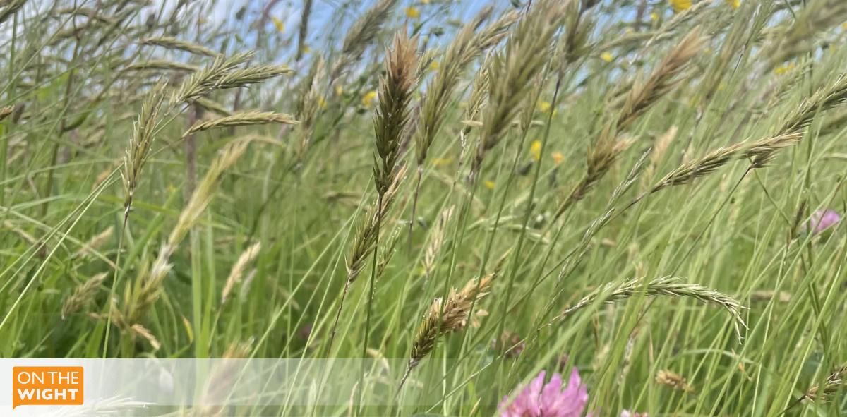 Discover natural wonders on the new Biosphere Explorer Nature Trail at ...