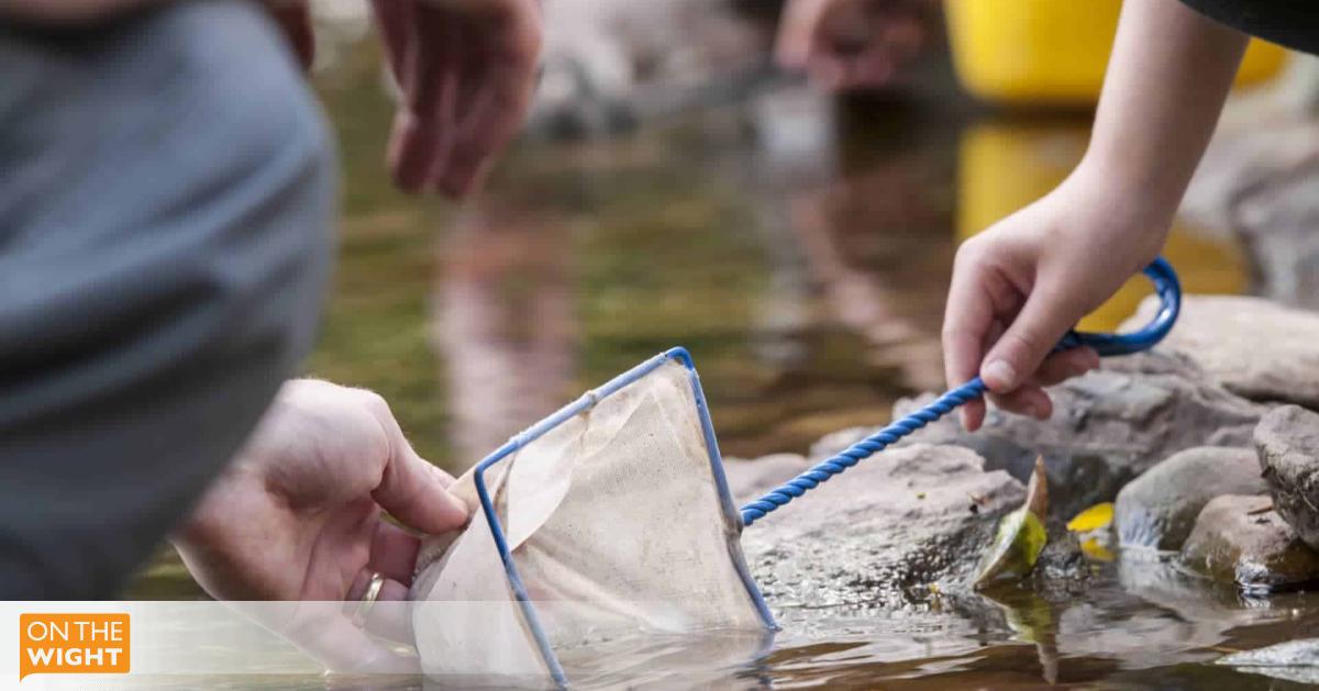 Isle of Wight's draft Local Nature Recovery Strategy gains DEFRA approval