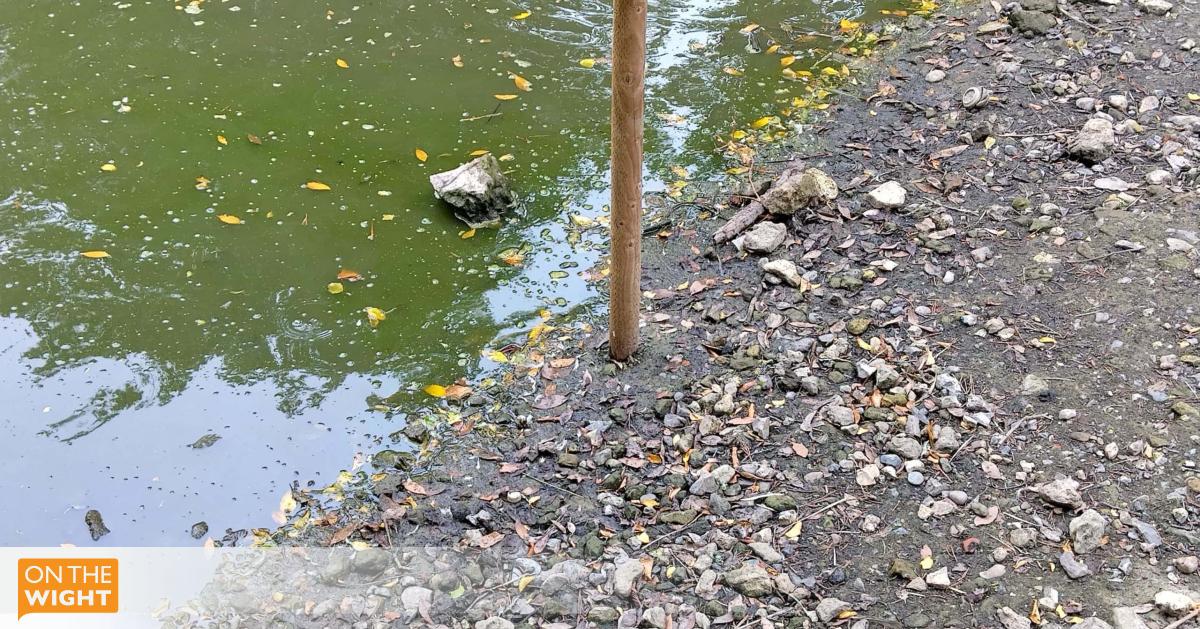 Council takes action to maintain Big Mead Pond water levels during dry ...